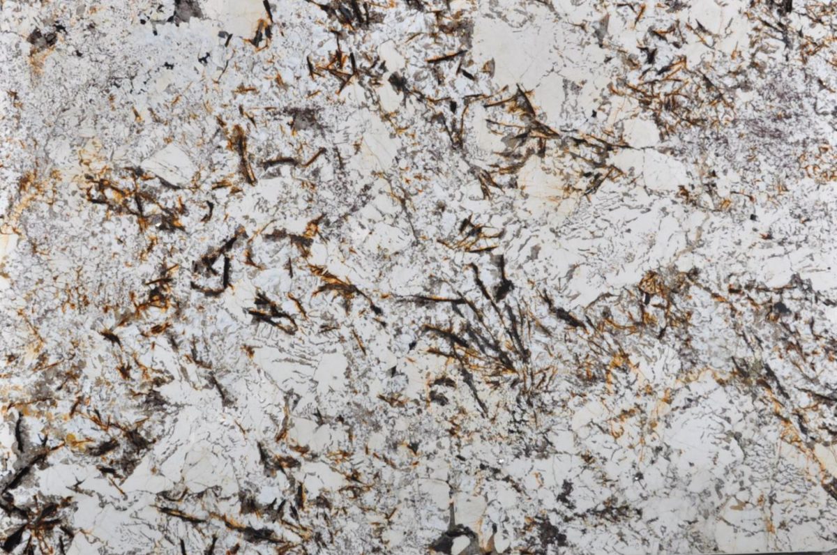 EXOTIC COLLECTION - GRAMIC