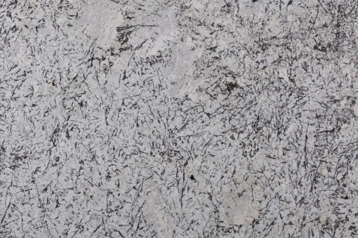 EXOTIC COLLECTION - GRAMIC